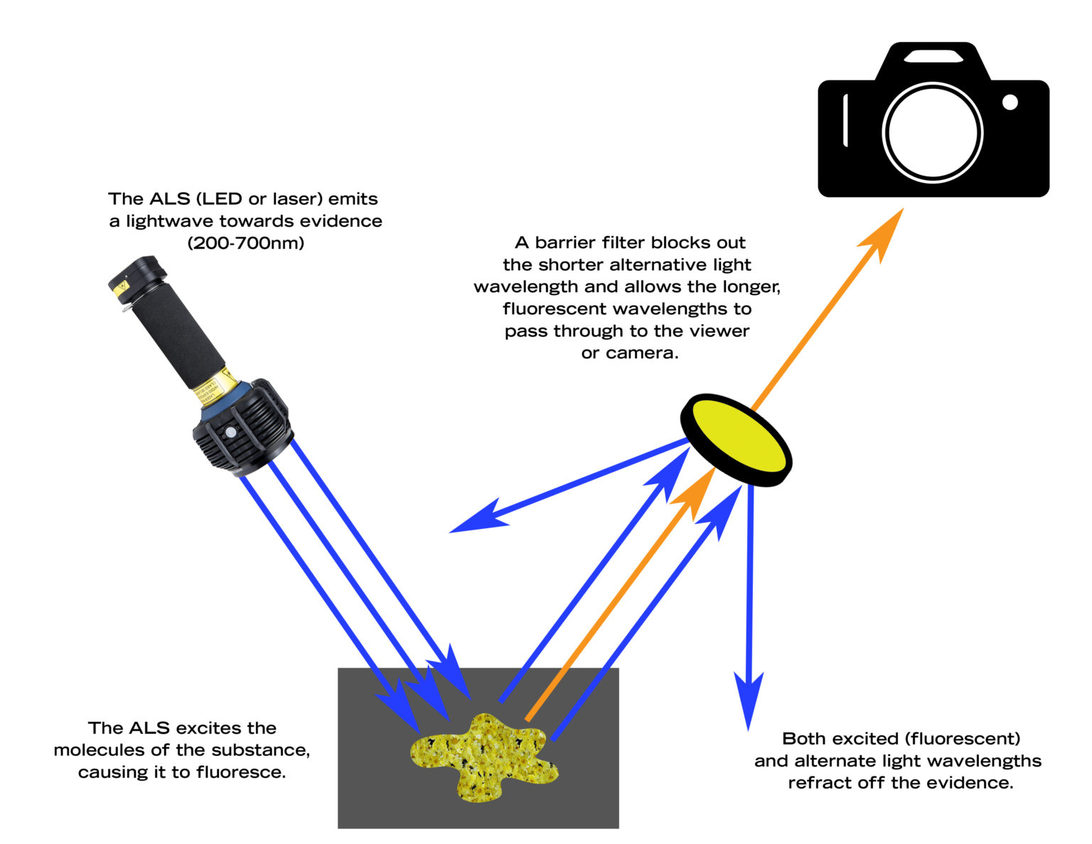 Lighting for Forensic Photography | FoxFury
